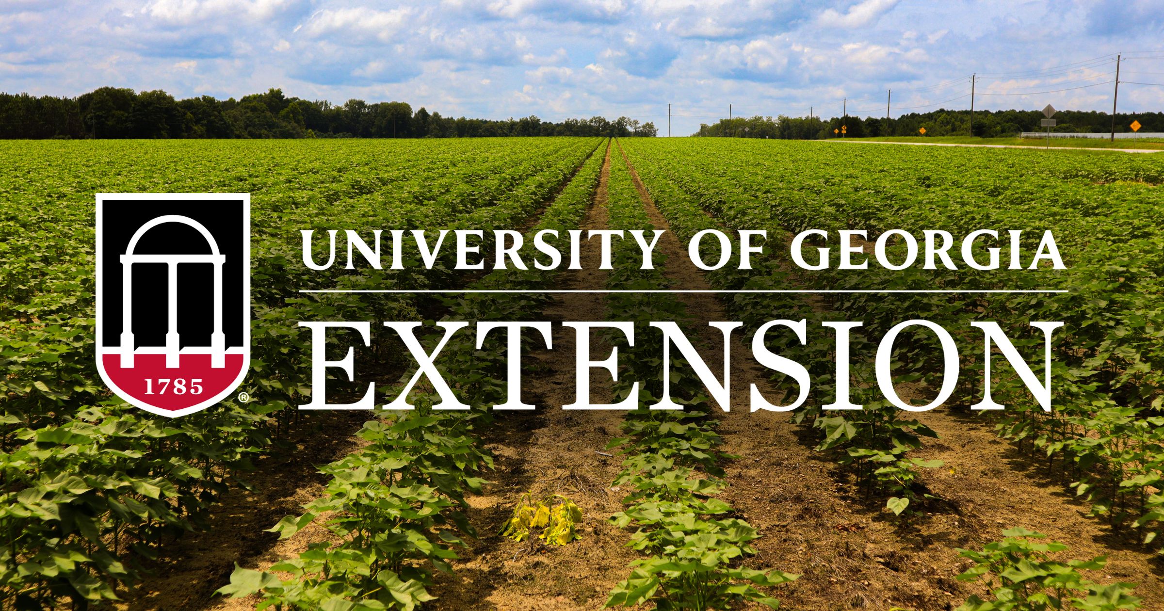Uga Extension Logo