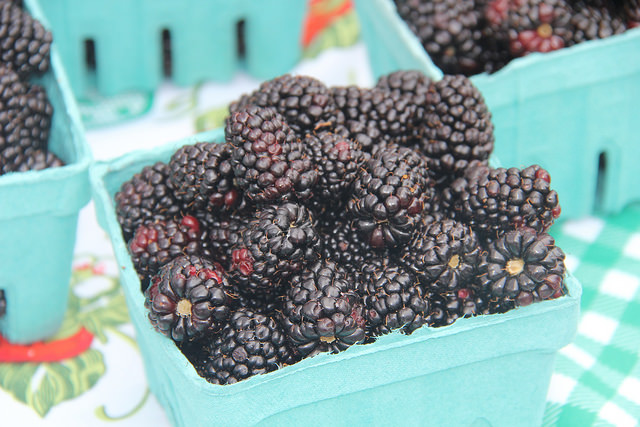 Small Fruits | UGA Cooperative Extension