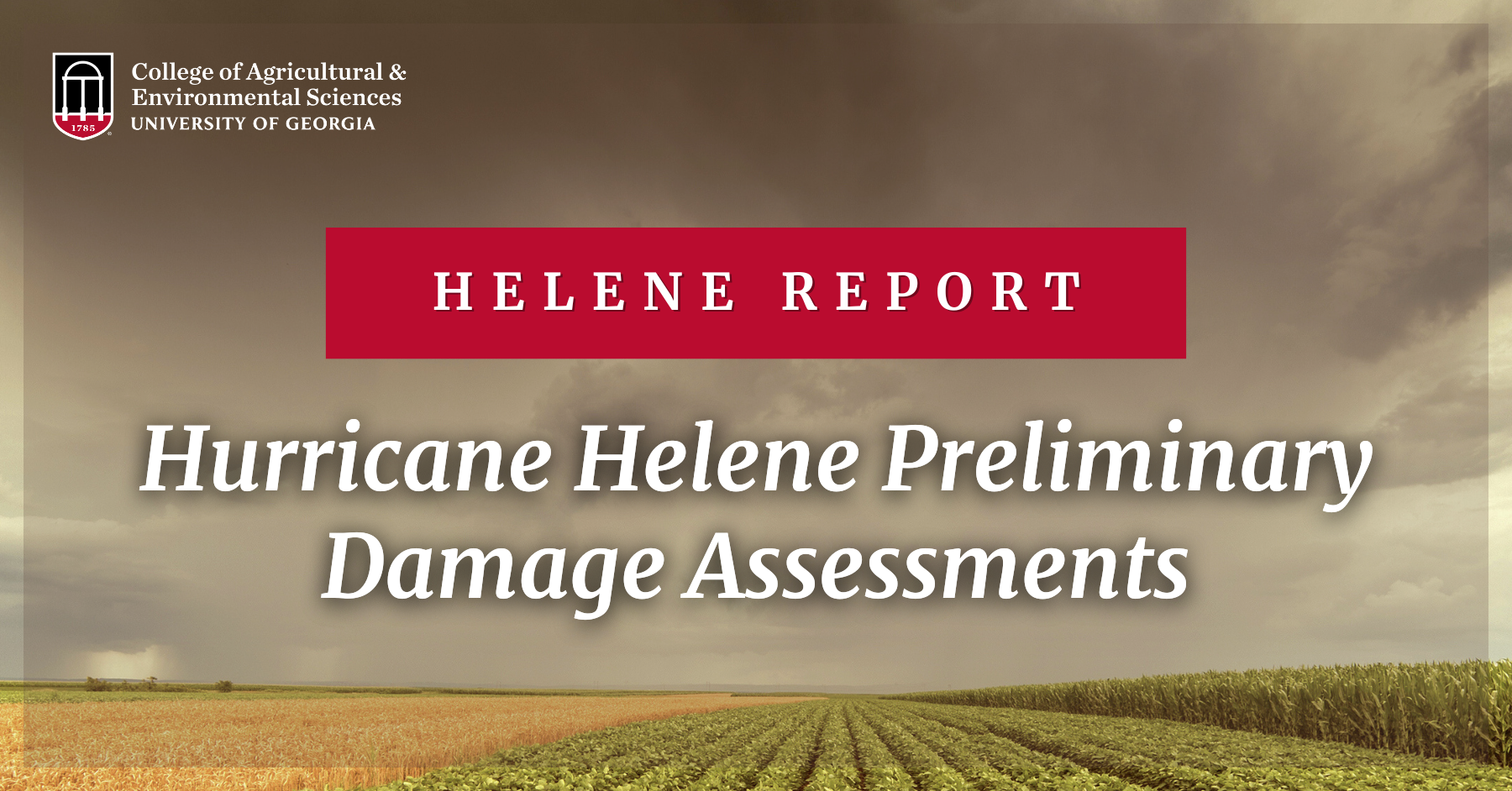 Helene Report | UGA Cooperative Extension